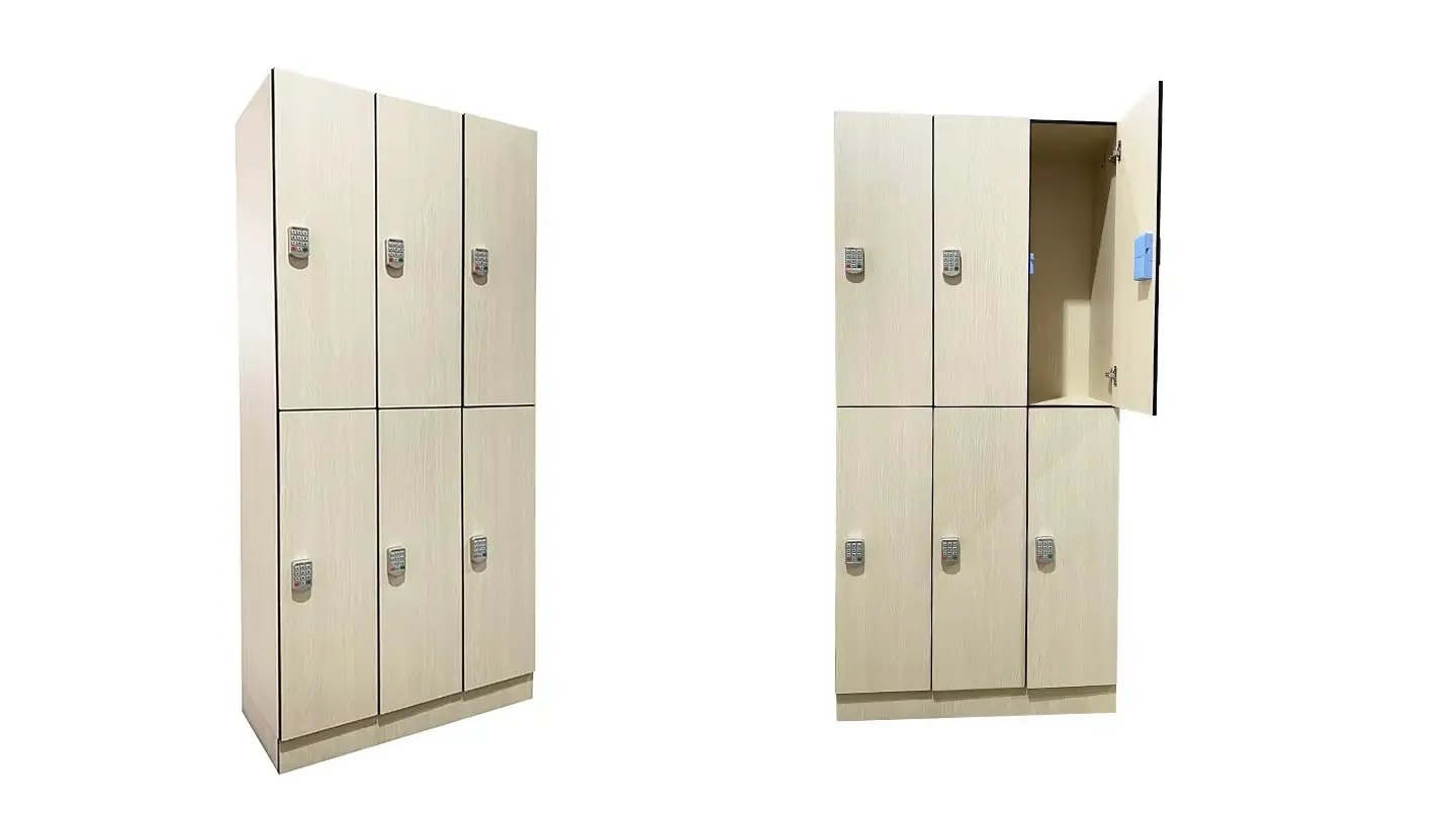 HPL Lockers For School – 6 Doors With Wood Grain Finish | Durable ...