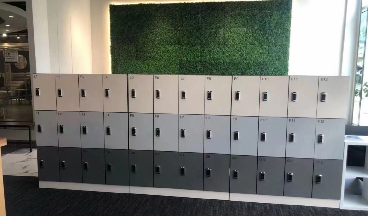 Maintenance And Care Guide For Fitness/spa Locker Rooms In Public ...